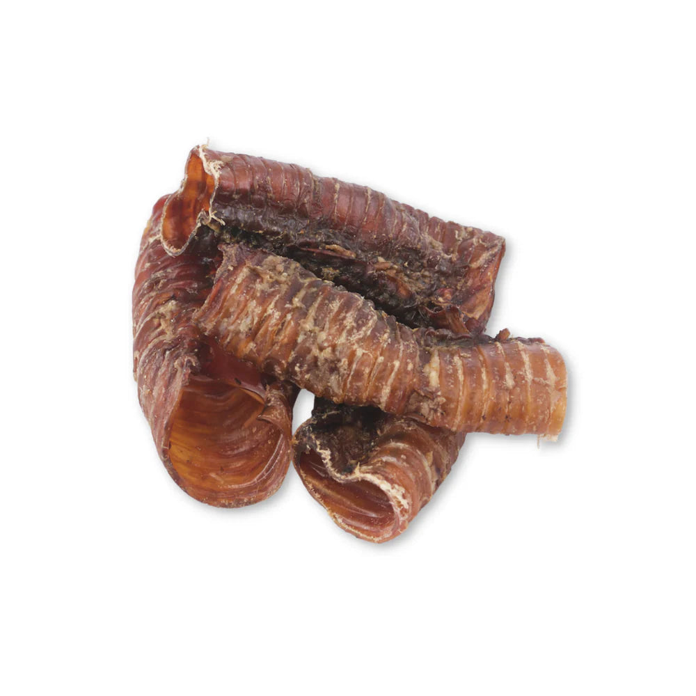 Boulder Dog Bison Trachea 6" – Hero's Pets